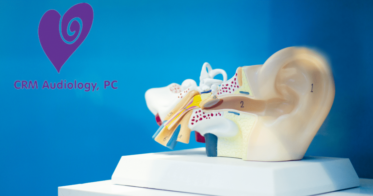 Decoding Sound: Your Guide to Auditory Perception